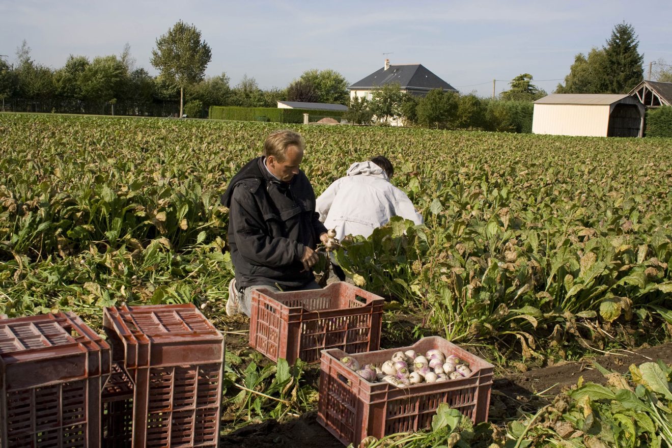 La Marque Fleuron d'Anjou - Fleurs Fruits Plantes Légumes